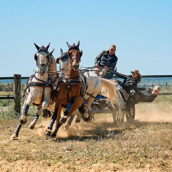 La Garrocha | Viste como sientes