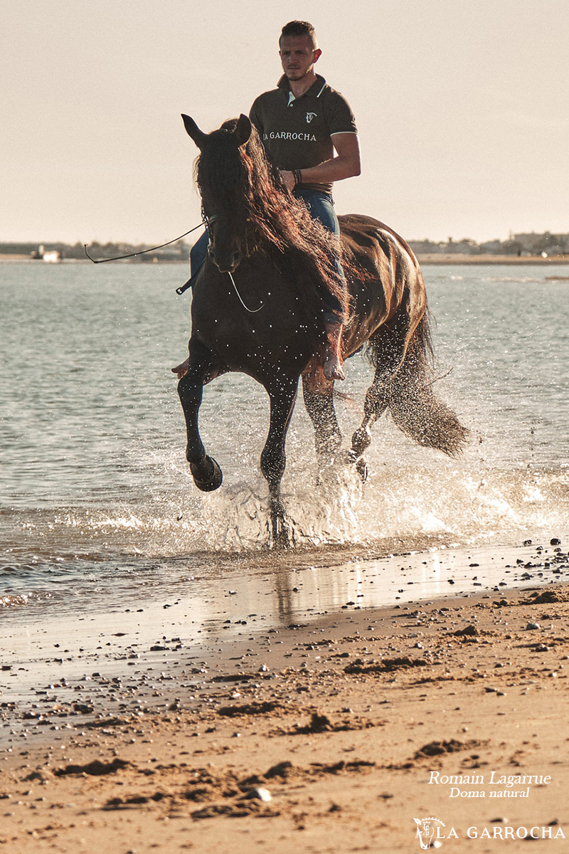 La Garrocha - El arte de vestir